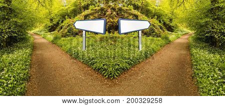 Conceptual photo of fork in forest path to illustrate making a choice ...