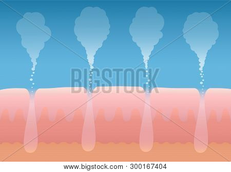 Skin Breathing. Human Cutaneous Respiration. Schematic Cross Section ...