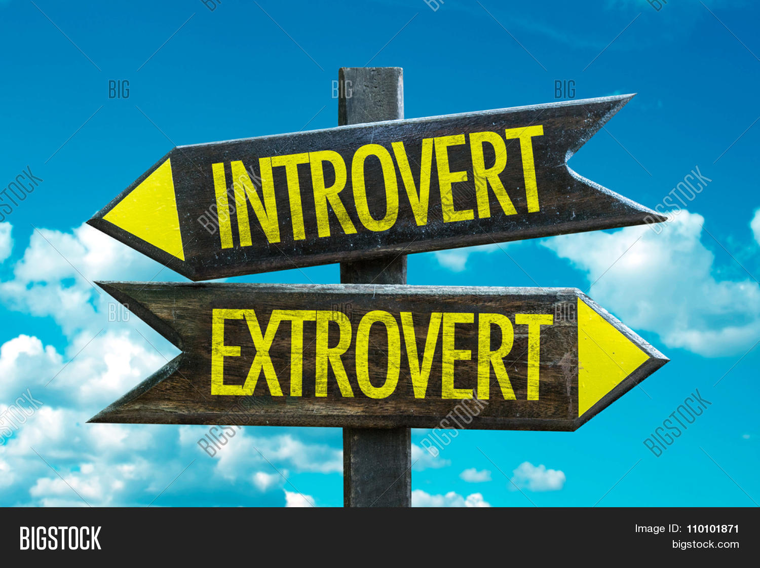 Introvert - Extrovert signpost with sky background image & stock photo. 110101871