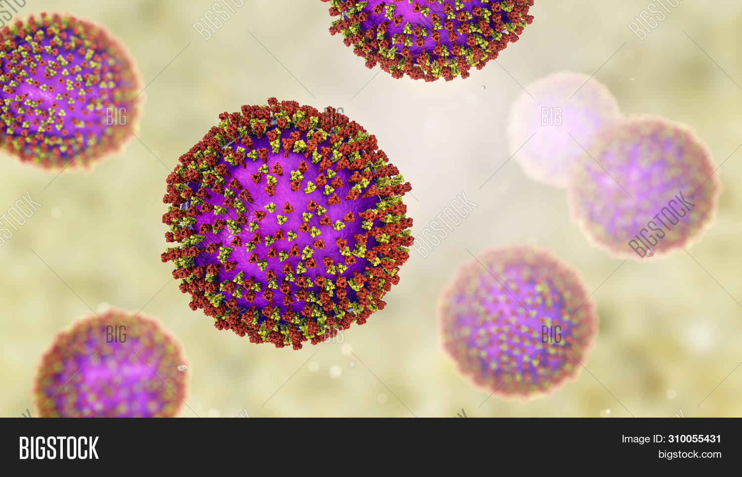 Measles Viruses. 3d Illustration Showing Structure Of Measles Virus ...