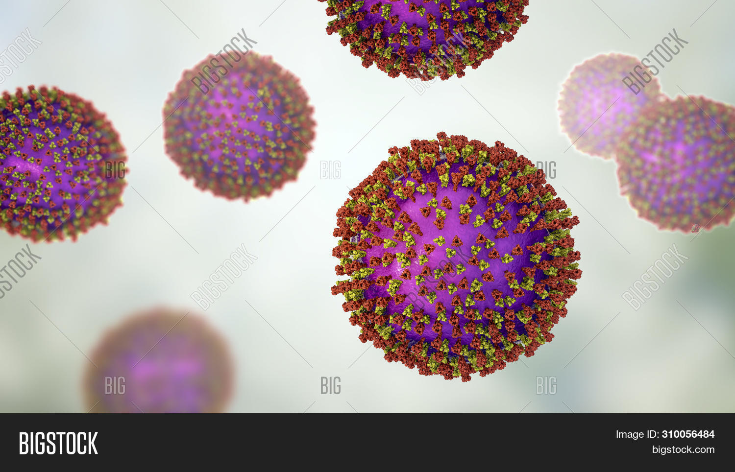 Measles Viruses. 3d Illustration Showing Structure Of Measles Virus ...