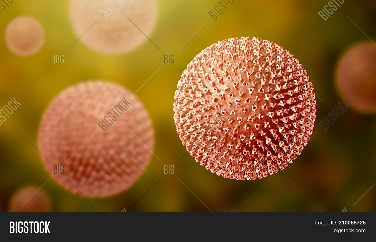 Measles Viruses. 3d Illustration Showing Structure Of Measles Virus ...