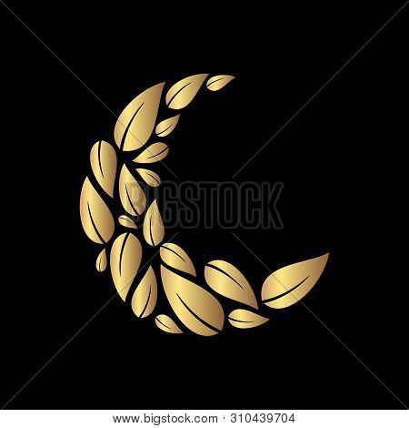 Luxury Moon Logo Vector On Black Background, Golden Moon Logo, Moon ...