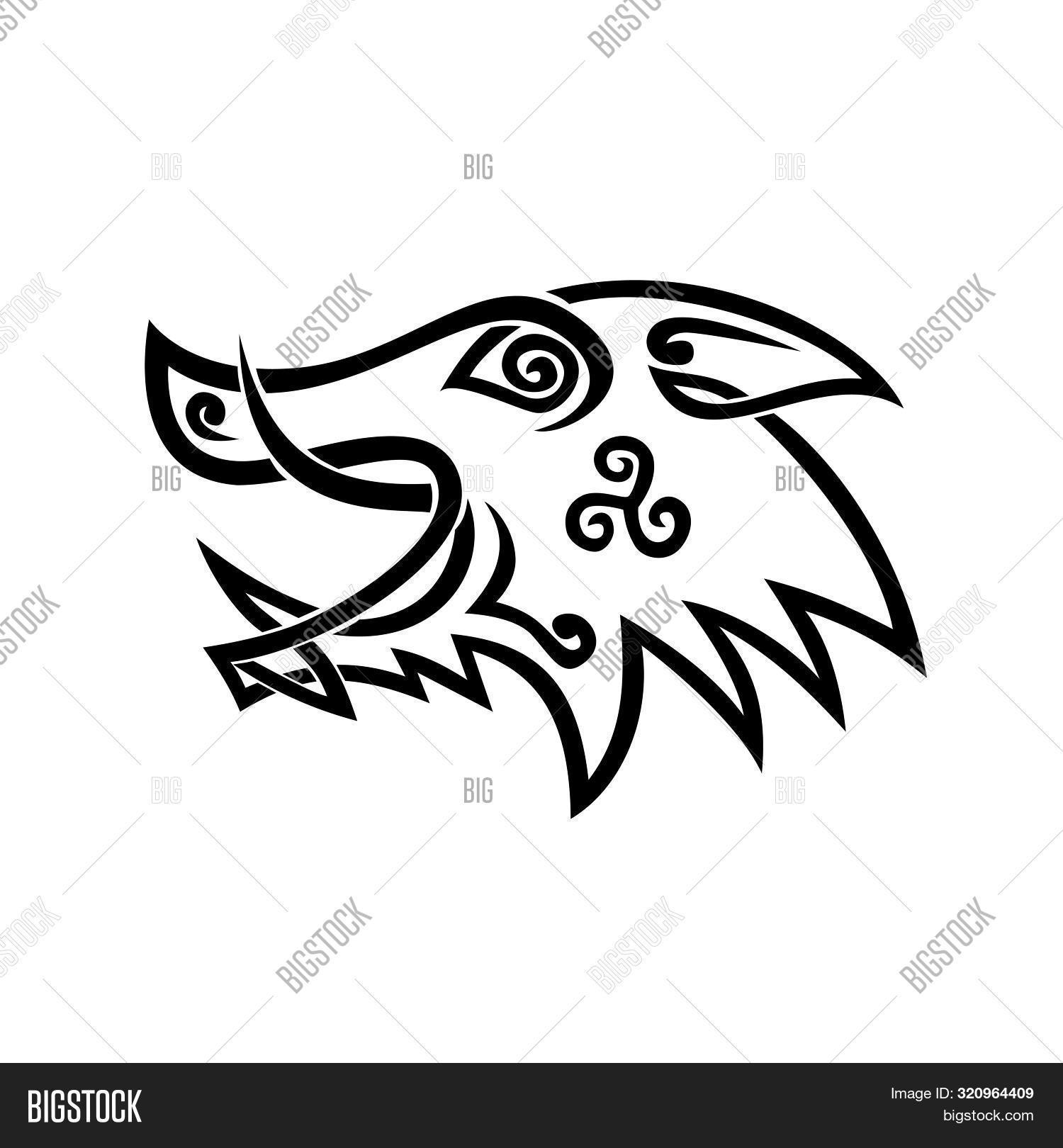 Celtic Knot Stylized Illustration Of A Head Of Wild Boar, Wild Pig, Hog ...