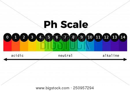 Ph Scale Vector Chart Ph Indicator Vector Test Acid Alkaline Balance ...