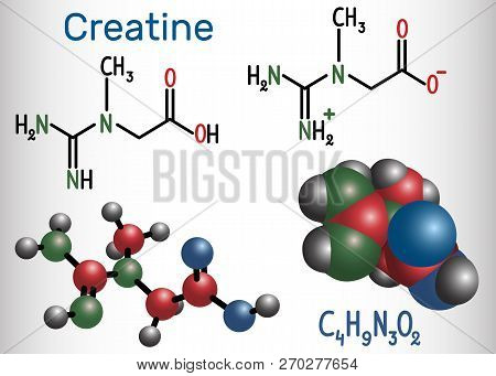 Creatine Molecule. Structural Chemical Formula And Molecule Model ...