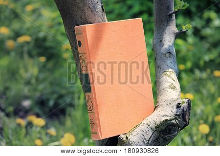 Books outdoor. Knowledge is power. Stack of books - Stock Image ...