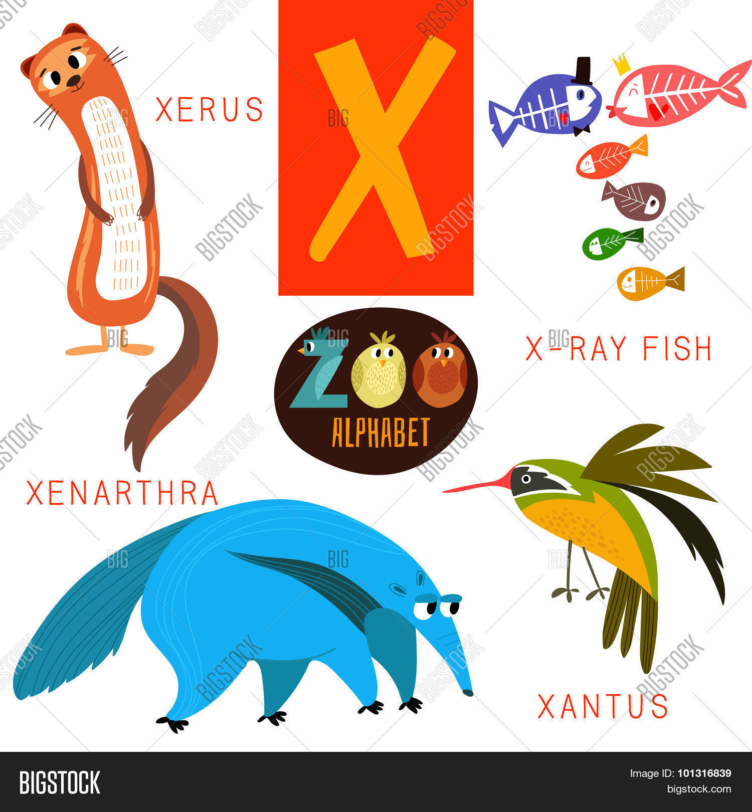 Cute Zoo Alphabet In Vector.x Letter. Funny Cartoon Animals:xerus,x-ray ...