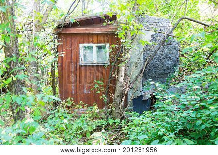 Abandoned City Chernobyl Radioactive Contamination. Overgrown Trees And ...