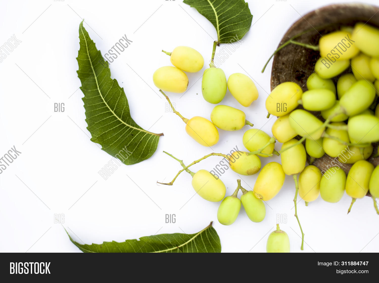 Neem Fruit Or Nim Fruit Or Indian Lilac Fruit In A Clay Bowl Isolated ...