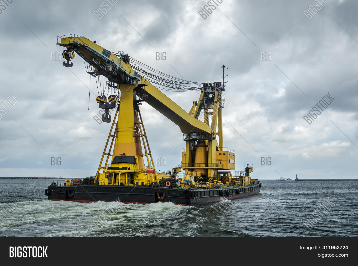 Sea Crane image & stock photo. 311952724