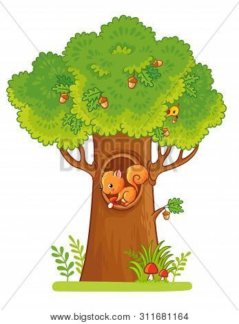 Cartoon Squirrel In A Tree Hole