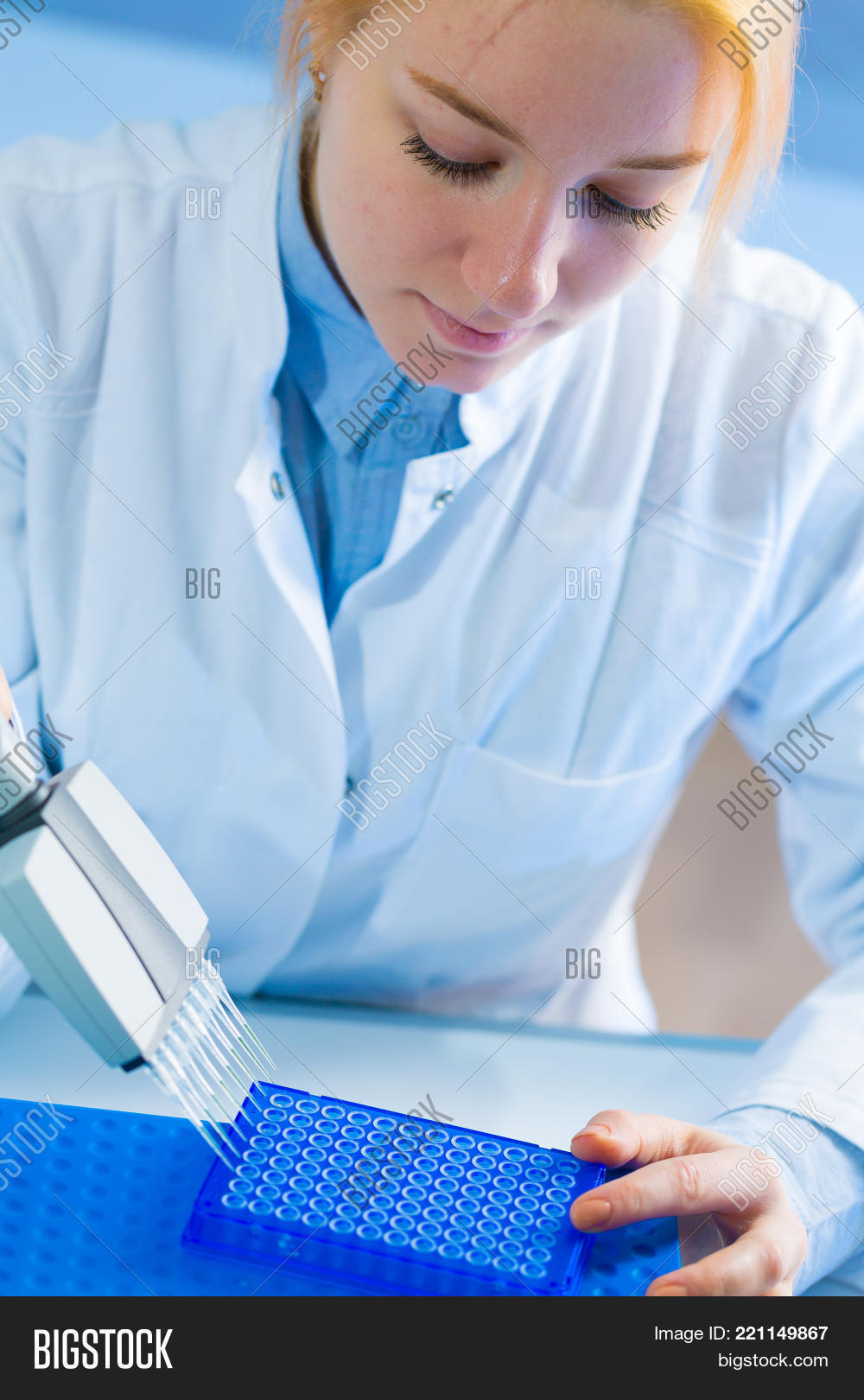 using a multi channel pipette for pcr processing in microbiological ...