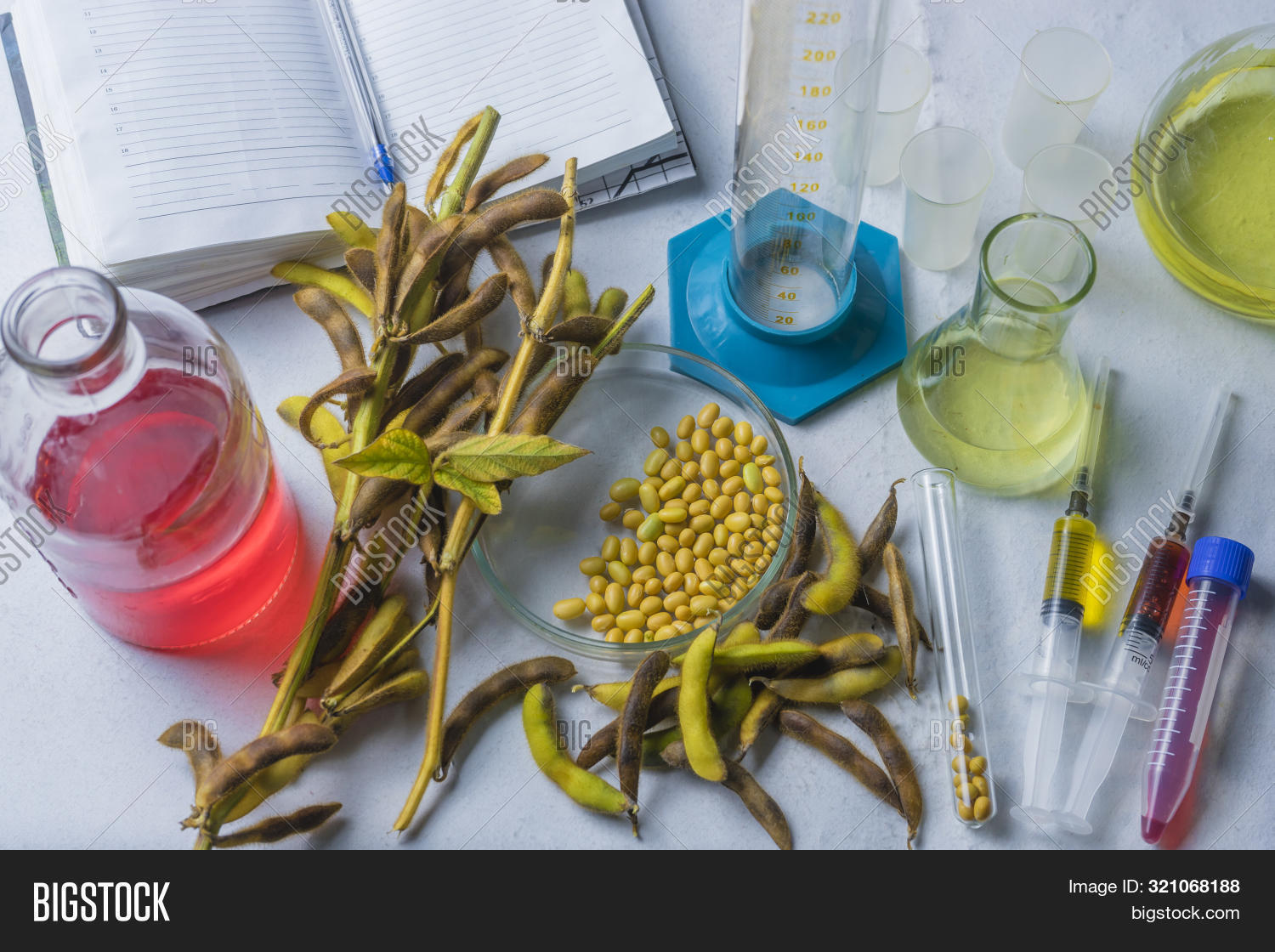 Soybean, Laboratory Research, Syringe, Soybean Pods And Test Tubes On A ...