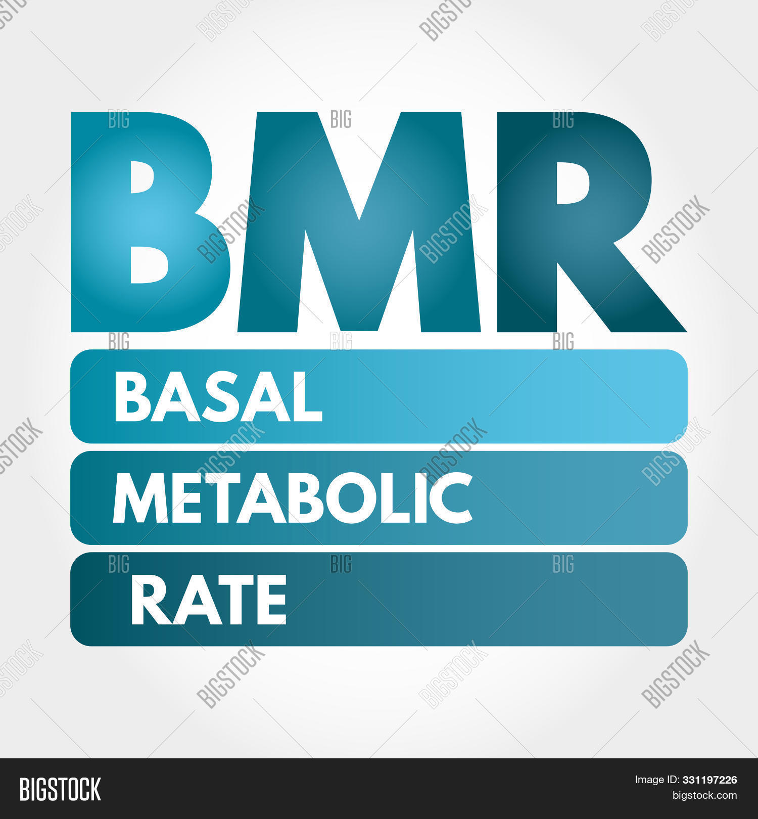 Bmr - Basal Metabolic Rate Acronym, Concept Background image & stock ...