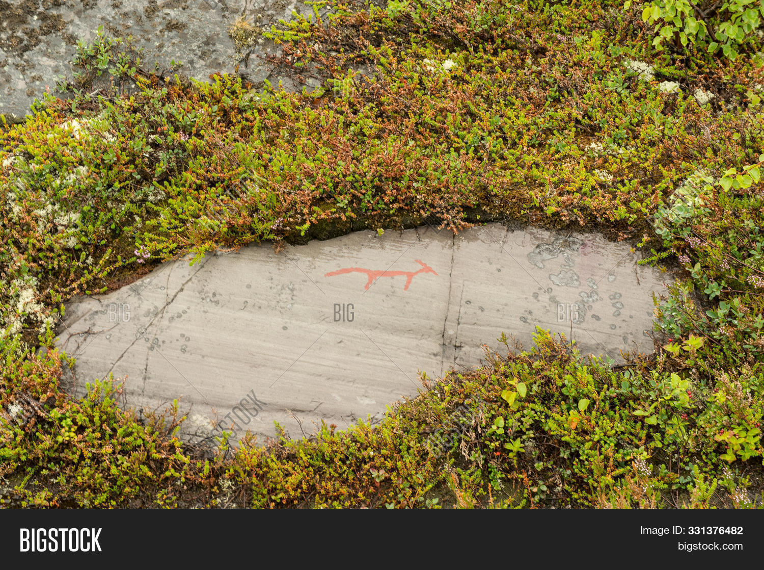 Rock Art In Alta Fjord, Norway. Ancient Symbols, Real Drawing, Texture ...