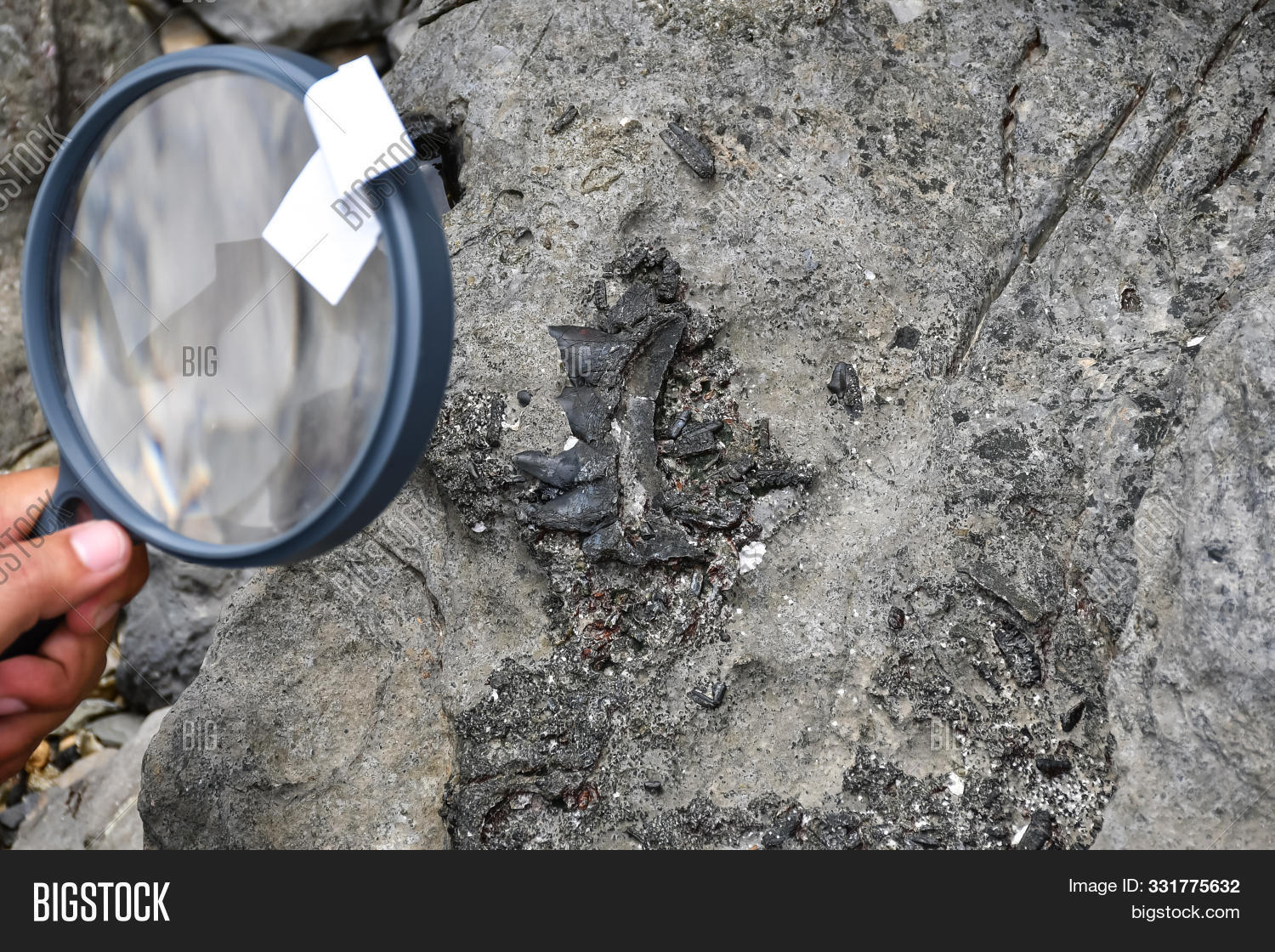 Archaeologists Are Using Tools And Equipment To Explore Fossils Found ...