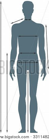 Diagrams Of The Male Body Measurements In Full Length. Template For ...