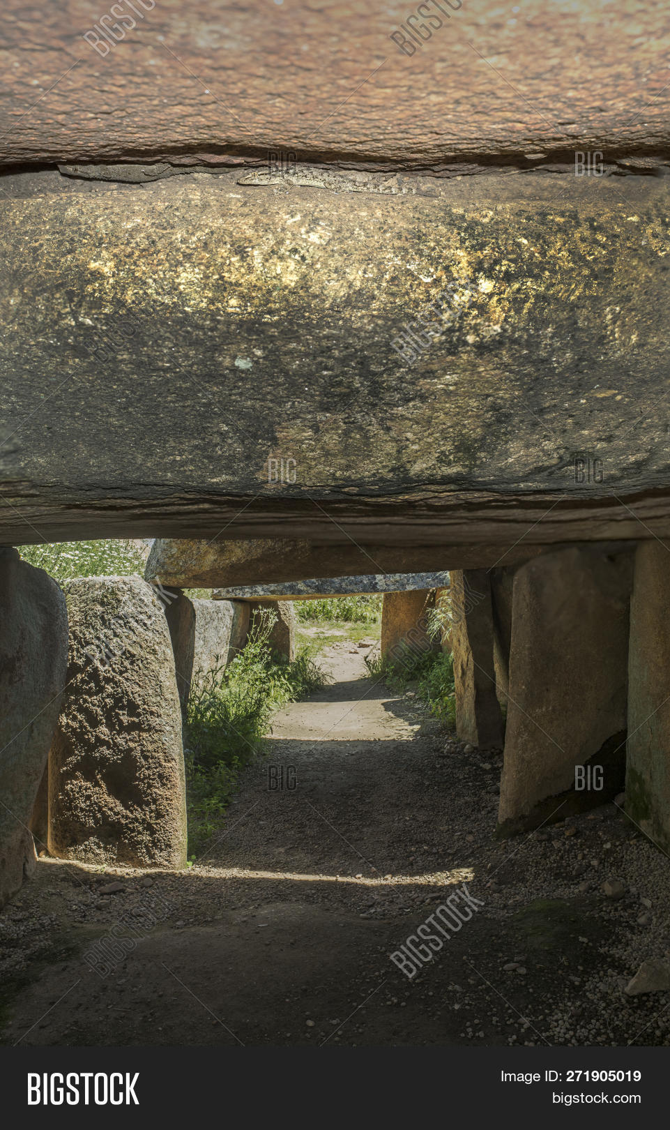 Lizards On Capstone At Dolmen Of Lacara. Ancient Megalithic Building ...