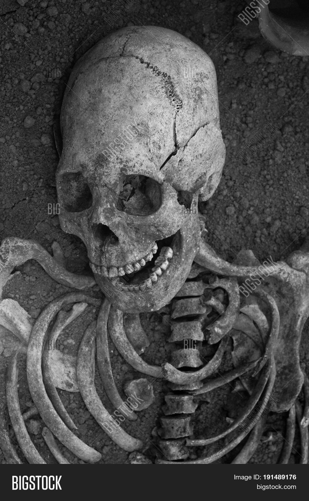Archaeological Excavations Of An Ancient Human Skeleton And Human Skull ...