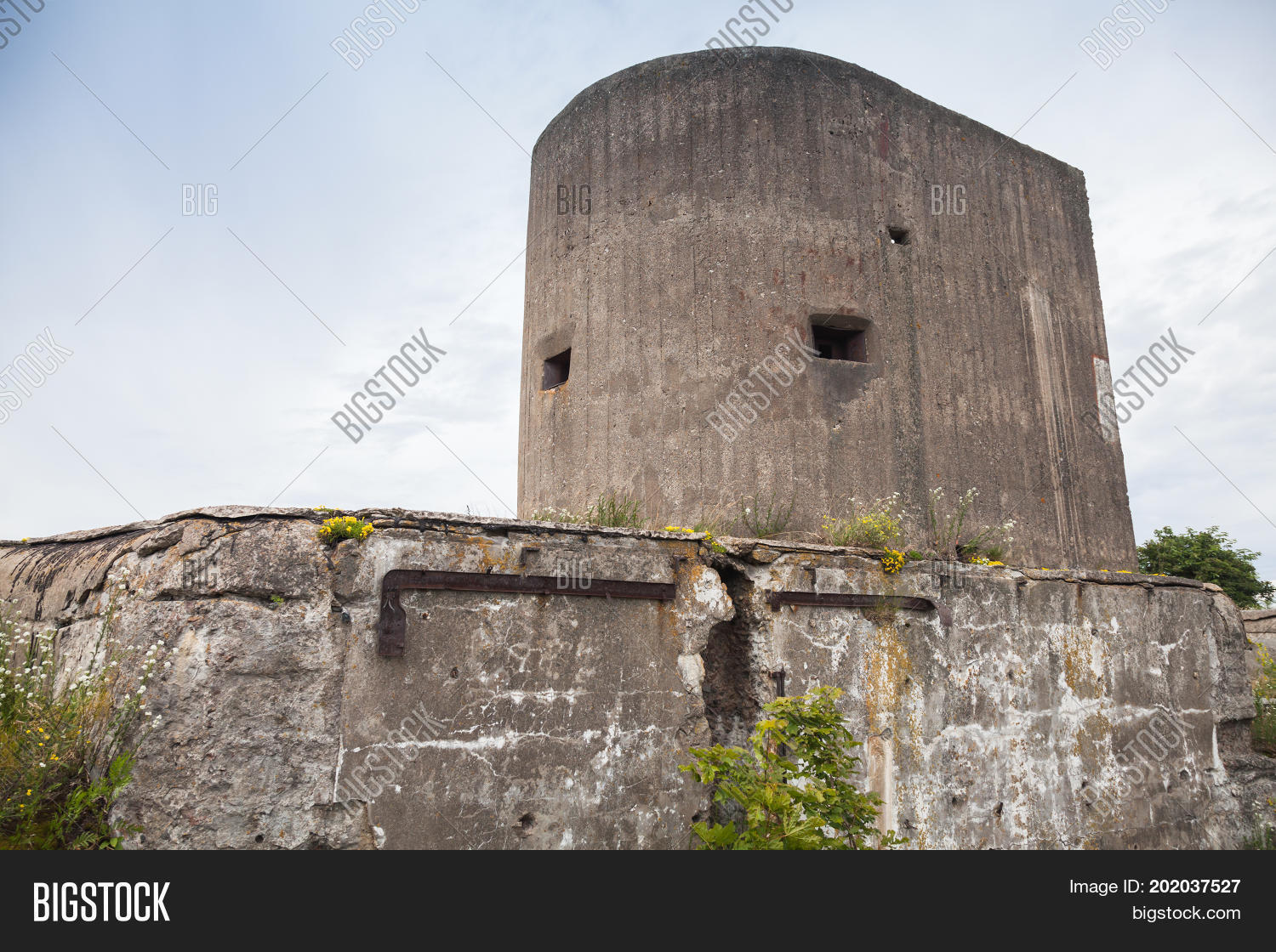 Old Abandoned Bunker From Wwii Period image & stock photo. 202037527