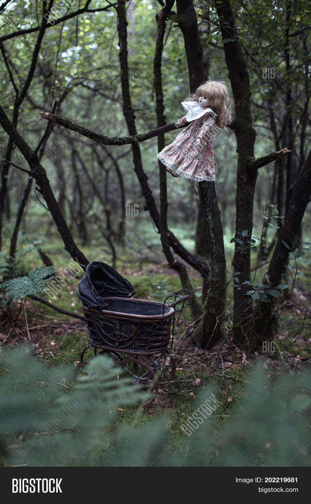 Scary Doll Hanging In Tree With Pram On Forest Ground. image & stock ...