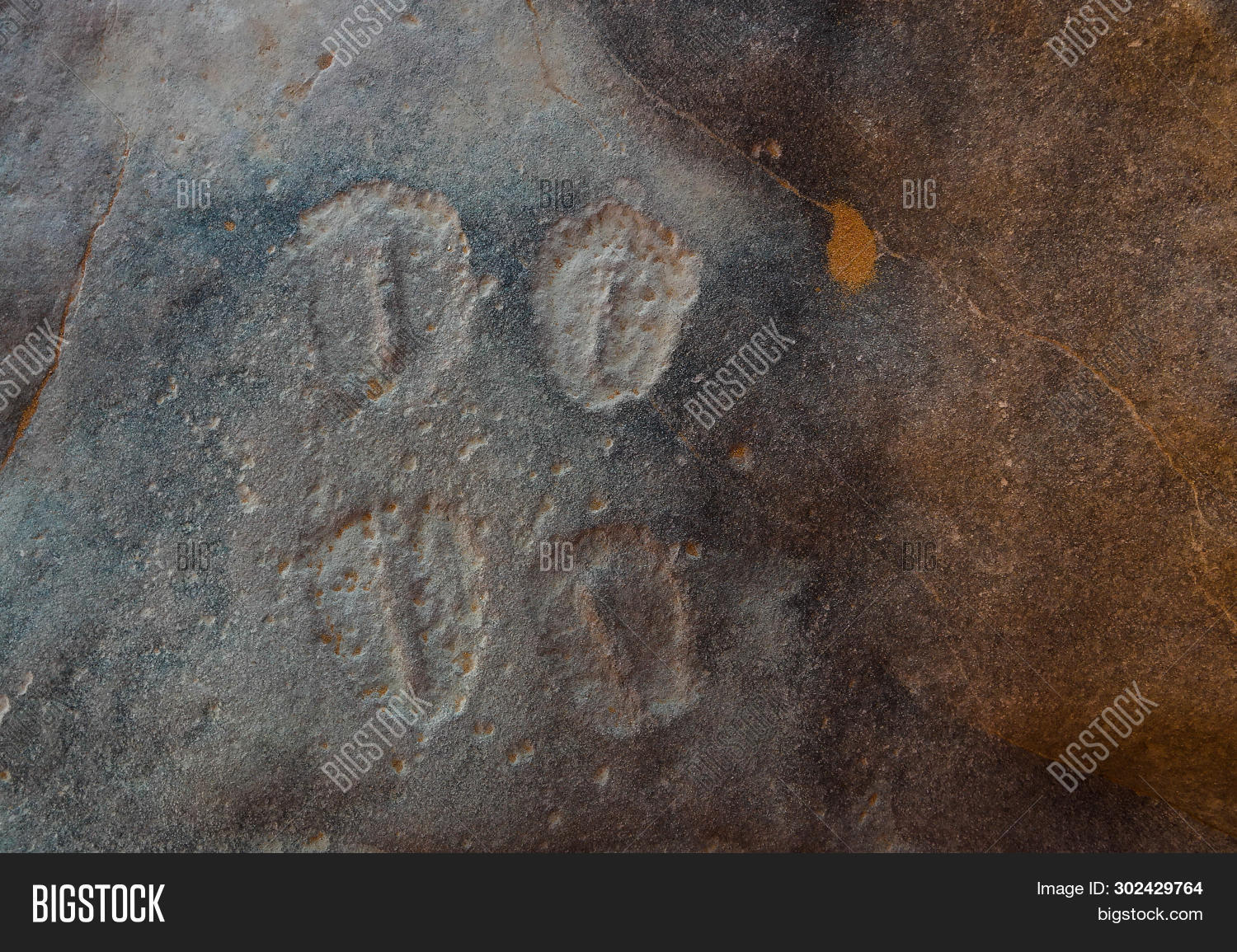 Animal Tracks And Footprint - Cave Paintings And Petroglyphs At ...