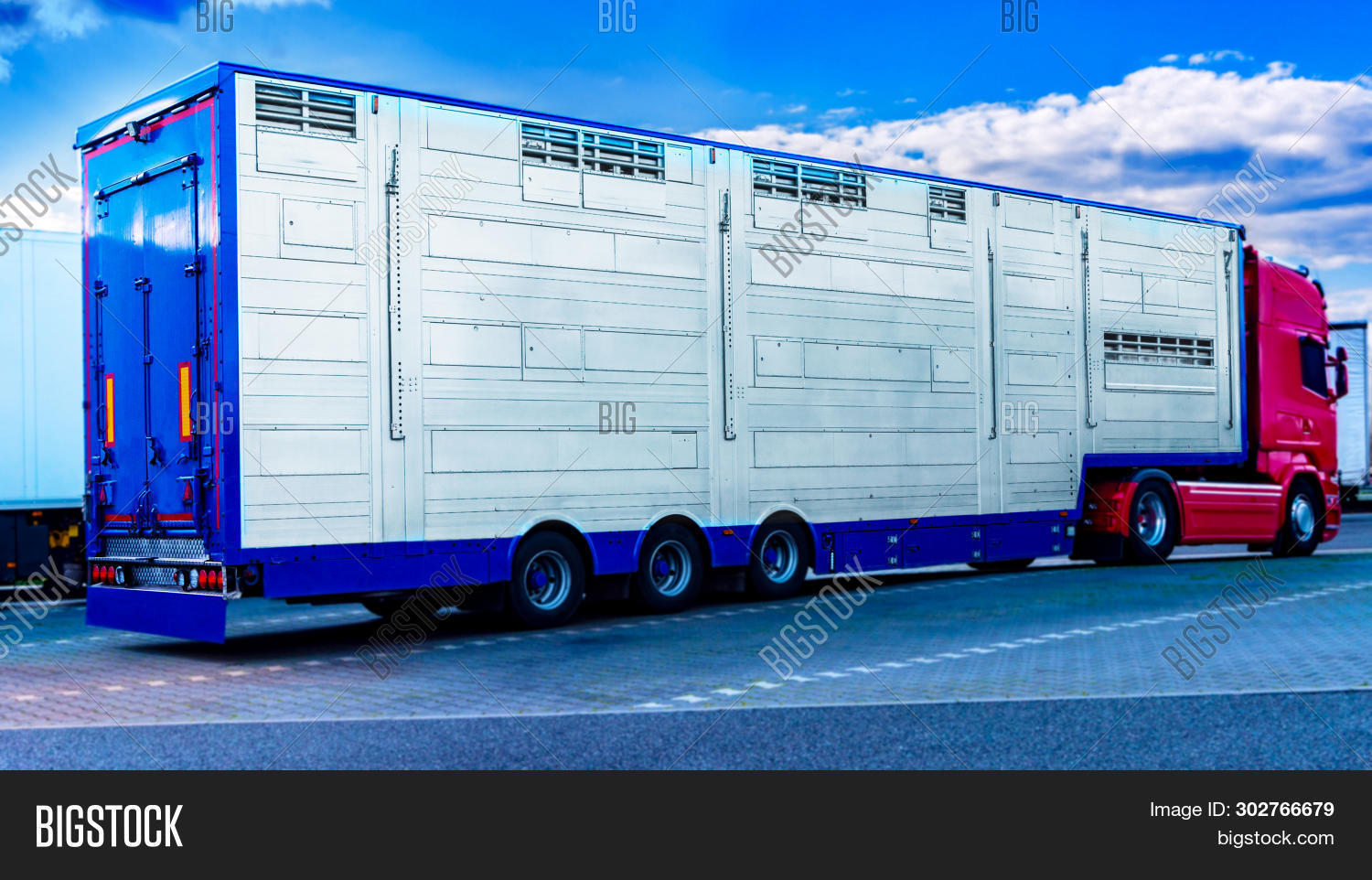 A Trailer Animal Transport . Special Truck And Trailer For ...