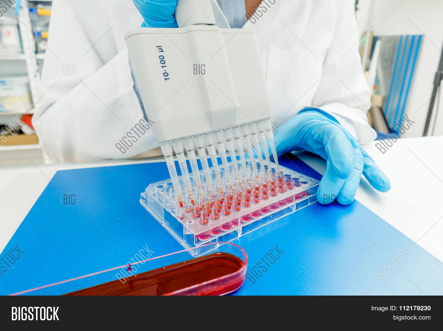 96 well plate for PCR processing, microbiological laboratory image ...