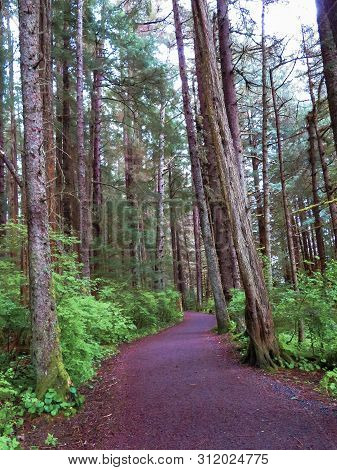 Hiking Trail In Sitka, Alaska Through Sitka Alaska National Historic ...