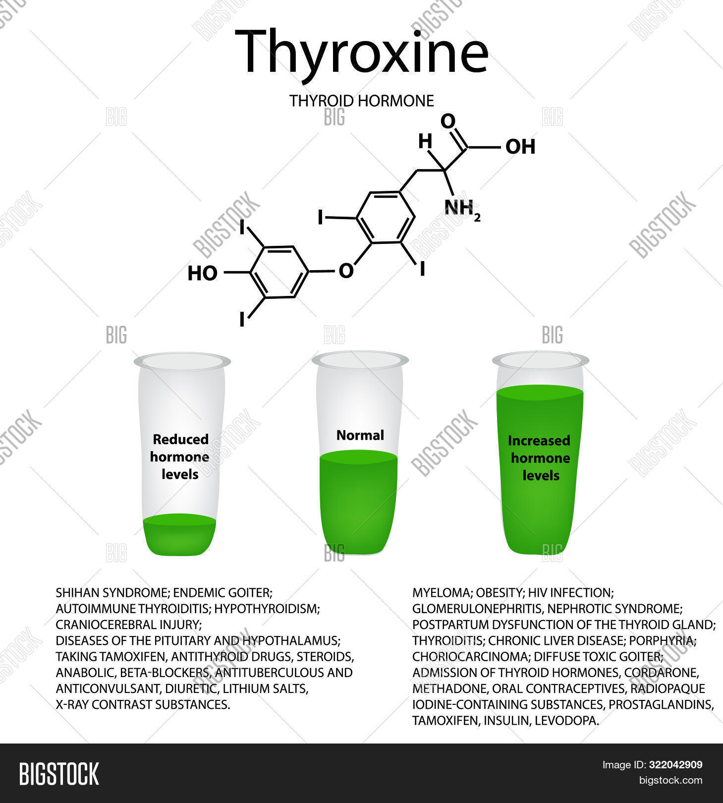 The Chemical Molecular Formula Of The Hormone Thyroxine. Thyroid ...