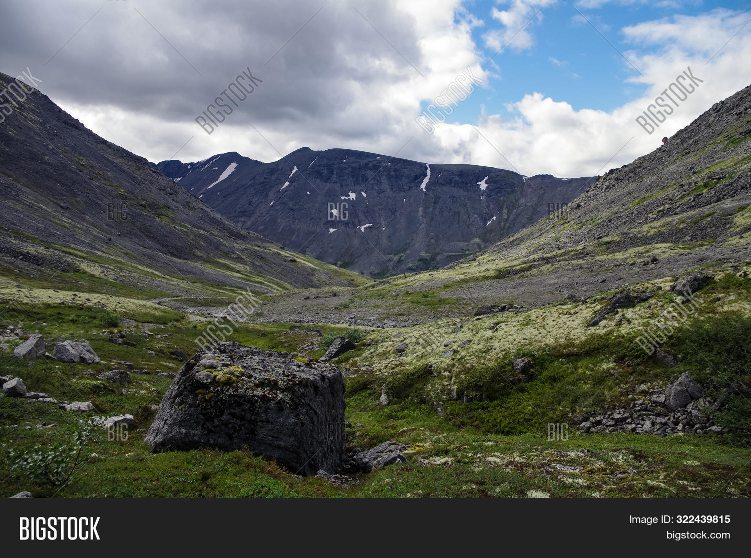 Mountain Tundra With Mosses And Rocks Covered With Lichens, Hibiny ...
