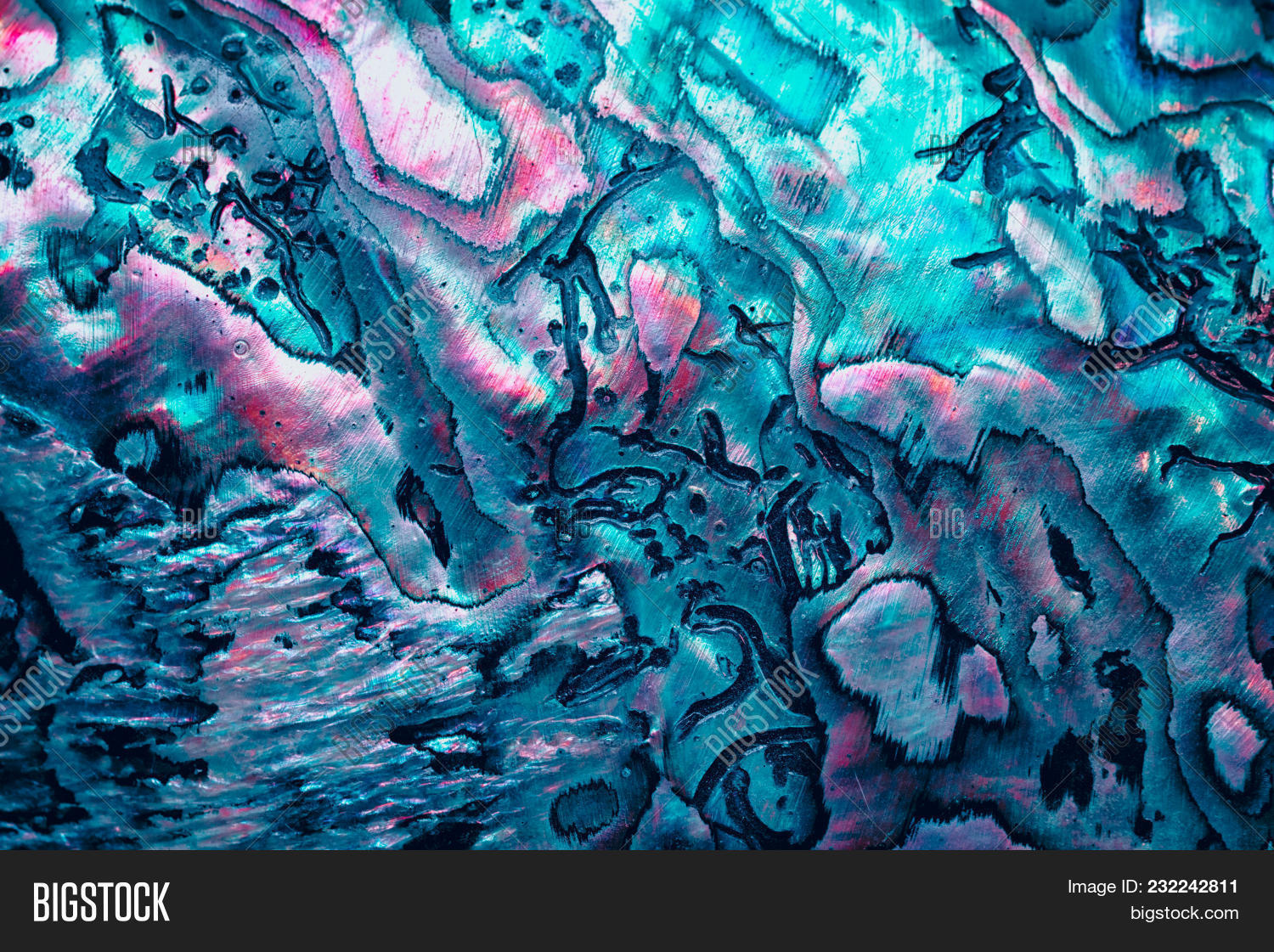 New Zealand Paua Shell In Blue Colors, As A Luxury Background Texture ...
