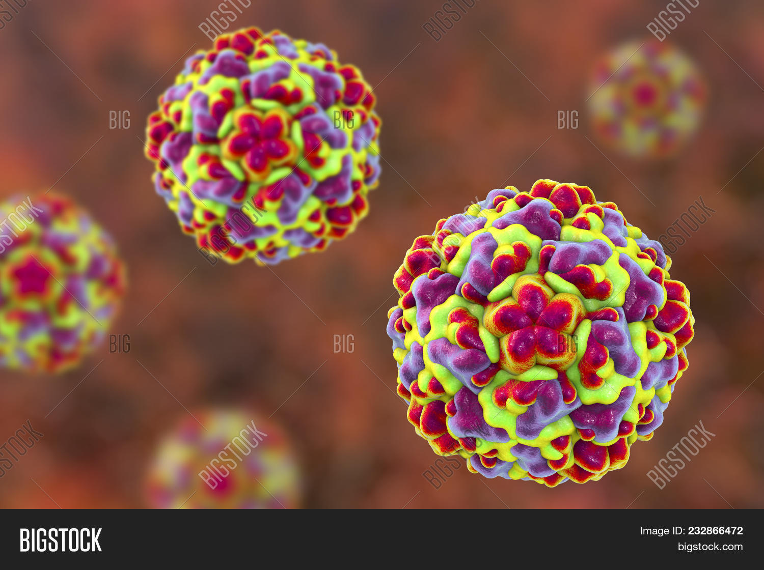 Molecular Model Of Rhinovirus, The Virus That Causes Common Cold And ...
