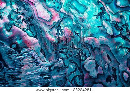 New Zealand Paua Shell In Blue Colors, As A Luxury Background Texture ...