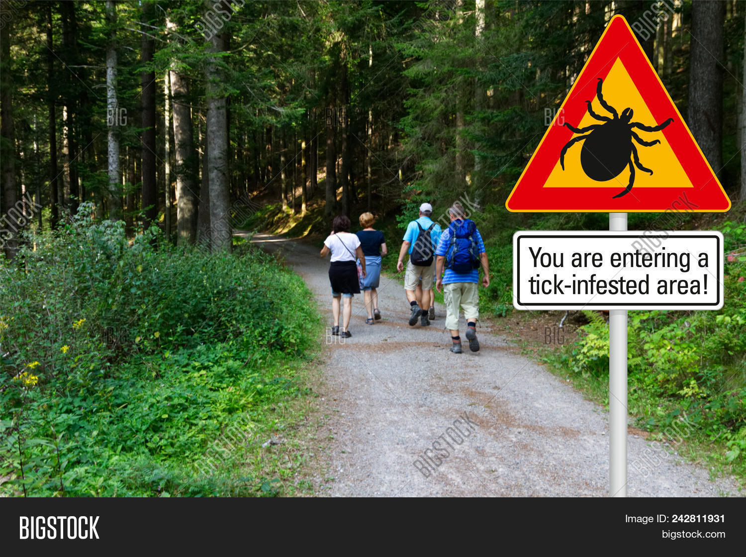 Warning Sign "beware Of Ticks" In Infested Area In The Green Woods With ...