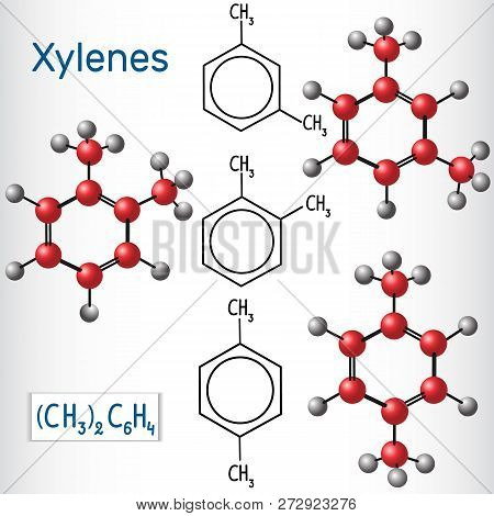 Meta , Ortho, Para Xylene Isomers. Structural Chemical Formula And ...