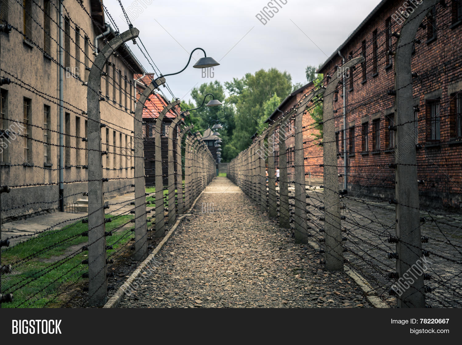 Concentration Camp Auschwitz image & stock photo. 78220667