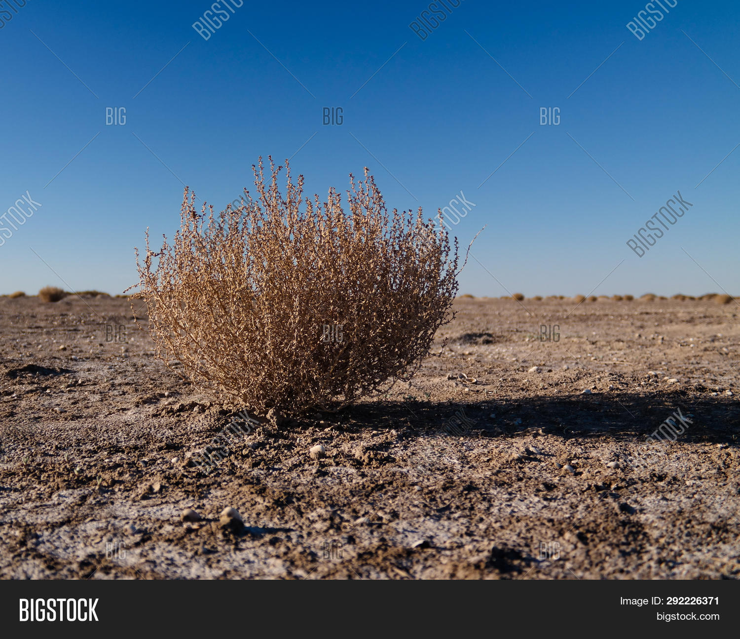 Landscape Of Aralkum Desert As A Bed Of Former Aral Sea At ...