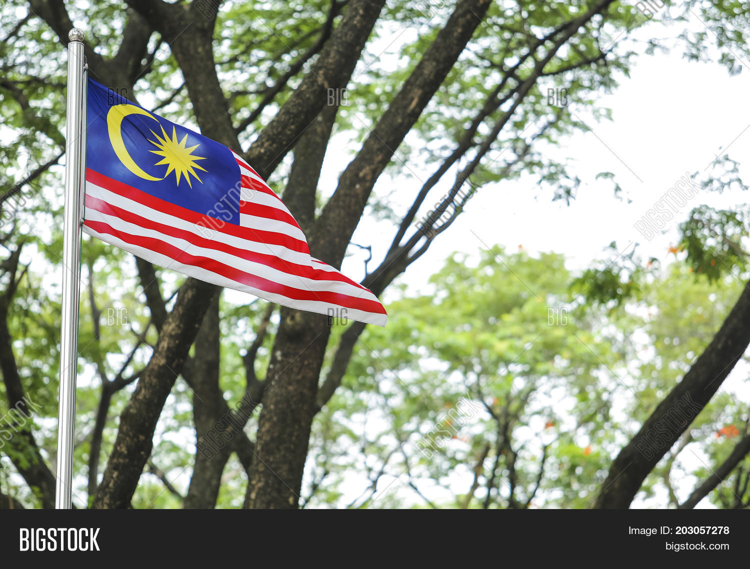 Malaysia Flag, Jalur Gemilang image & stock photo. 203057278