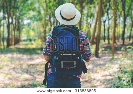 Back Side Of Attractive Woman With Backpack Adventure Hiker Walking Go ...