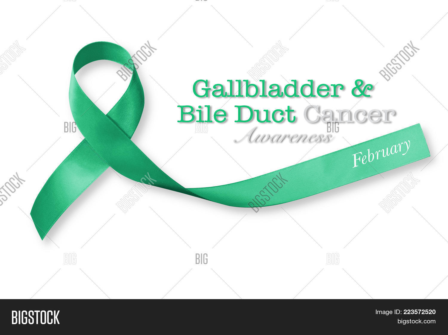 Gallbladder And Bile Duct Cancer Awareness Ribbon Kelly Green (isolated ...