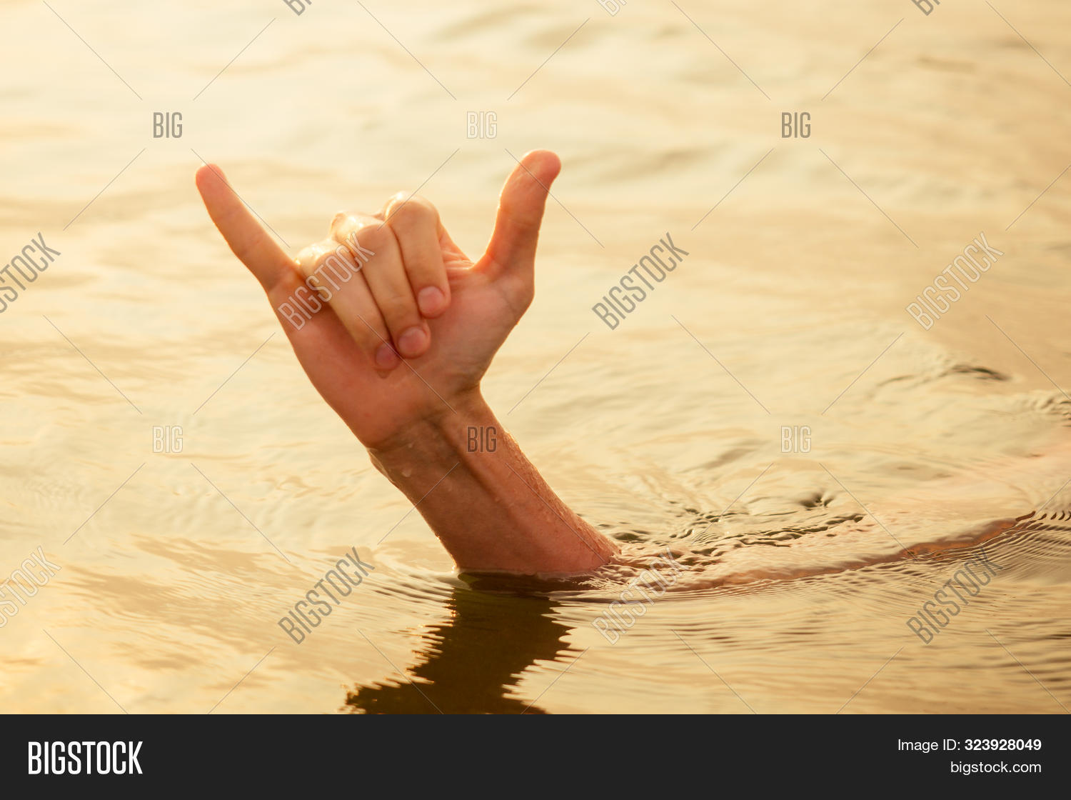 Shaka Hand Gesture Surfers Symbol.young Surfer Man With Surfboard On ...