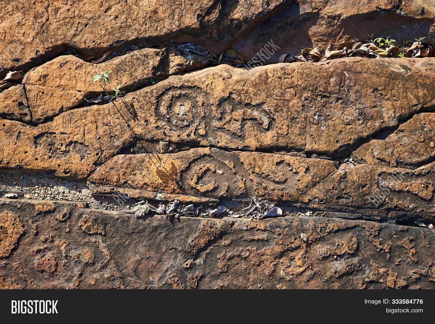 Rock Paintings Of Ancient Civilizations. Made By The Aborigines Of ...