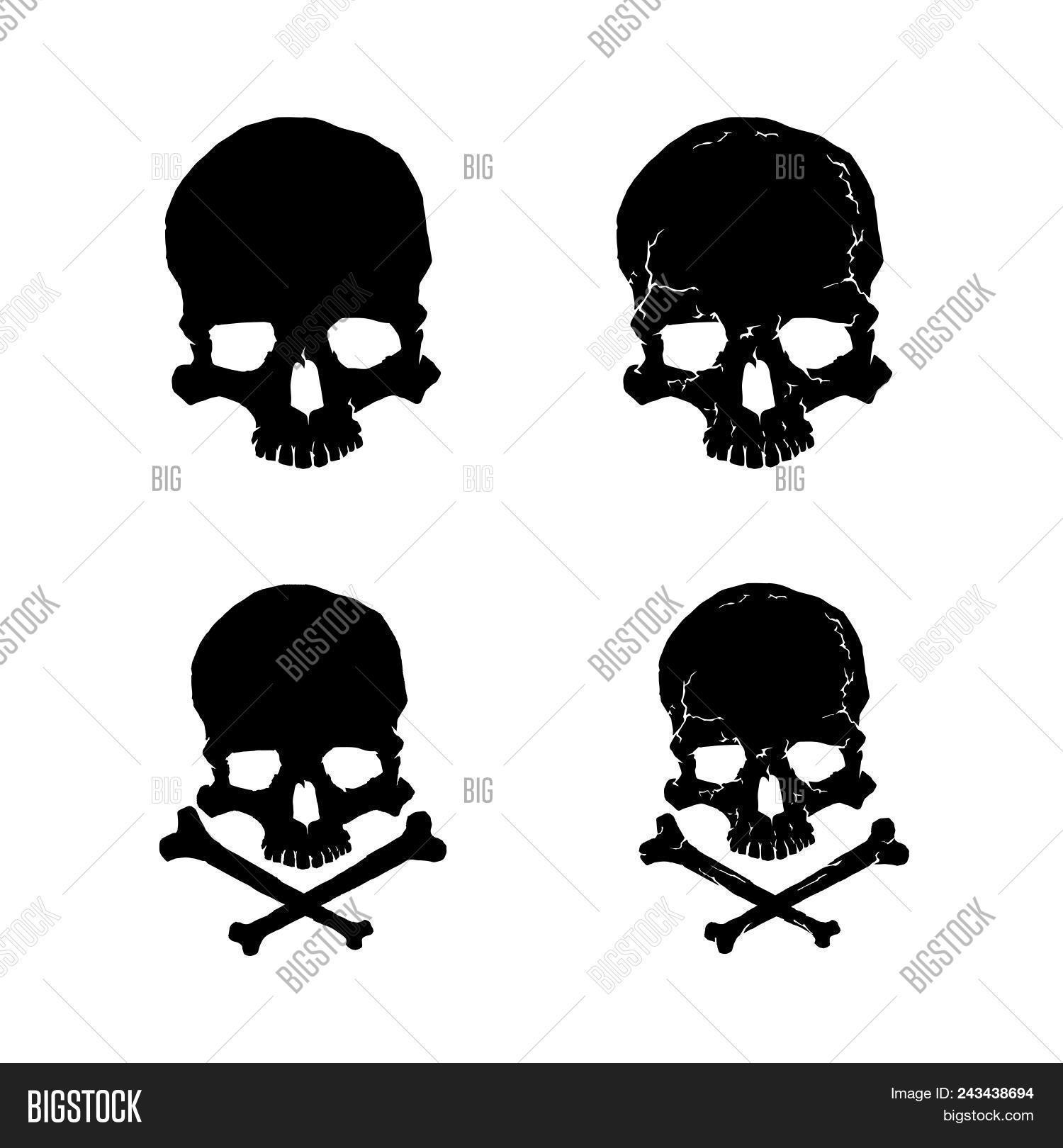 Skull Silhouette Vector Set. Skull And Crossbones Isolated On White ...