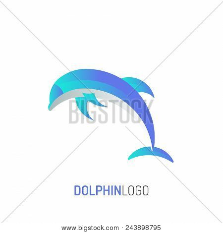 Dolphin Logo | Jumping Dolphin | With Golden Ratio Technique And ...