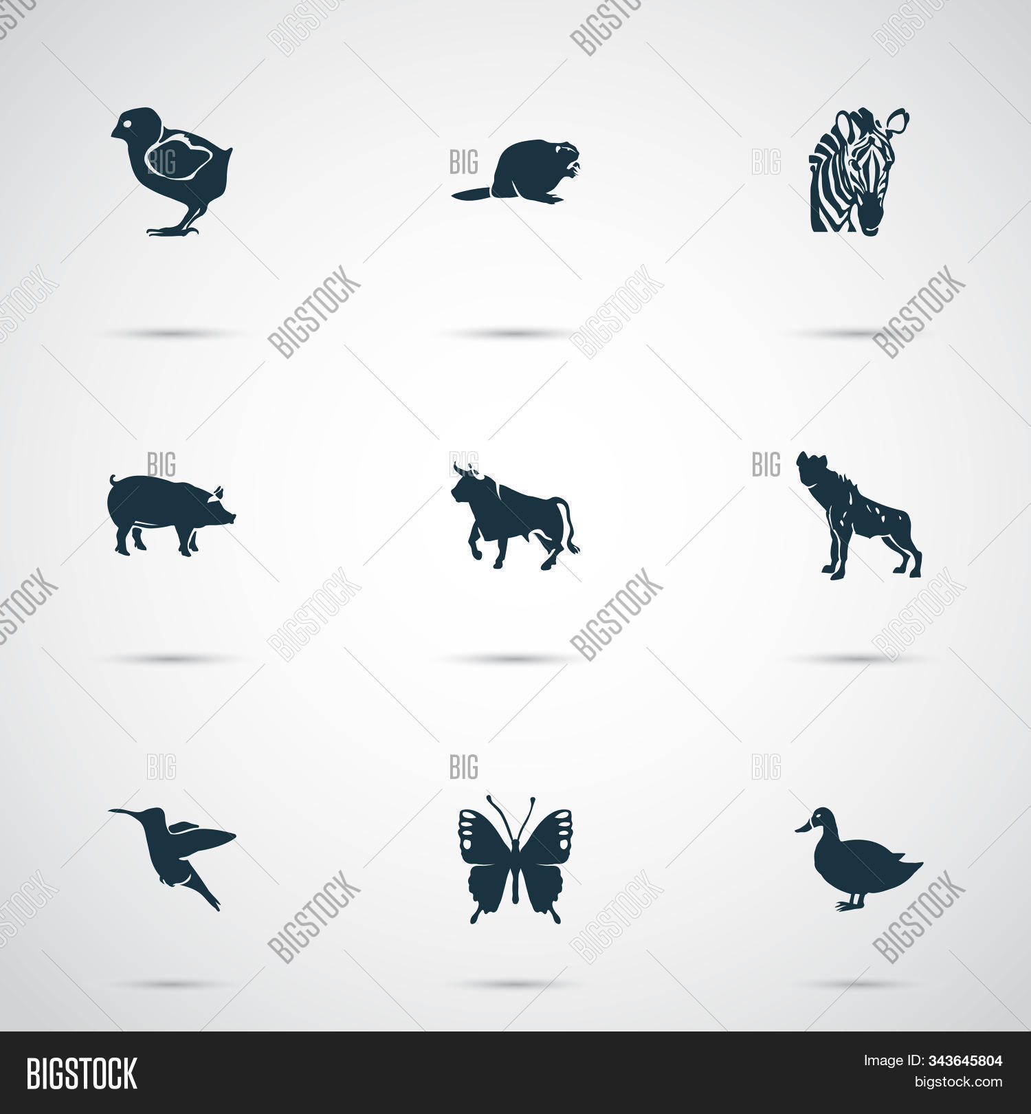 Fauna Icons Set With Bull, Hyena, Zebra And Other Mallard Elements ...