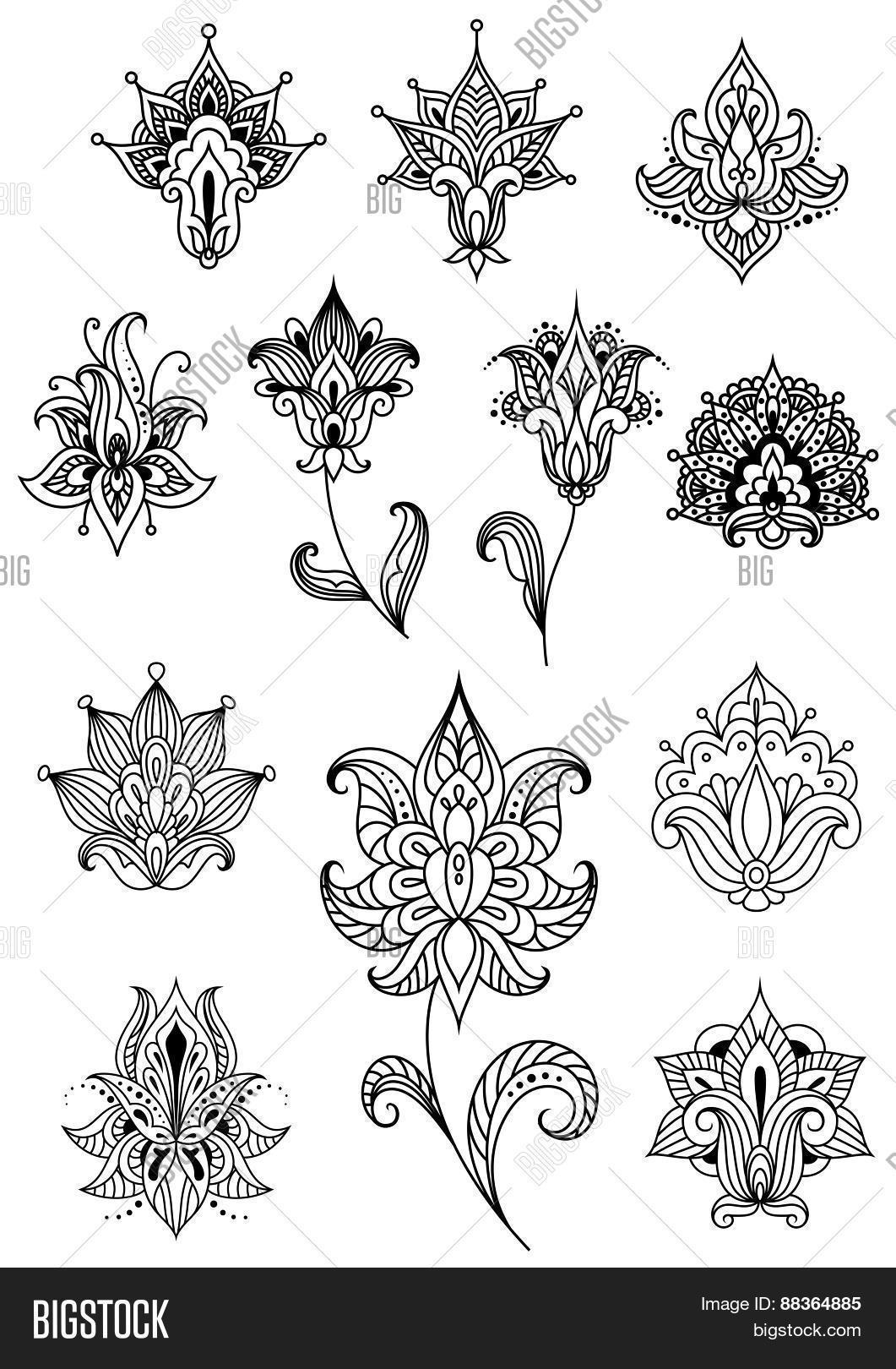 paisley-design-elements-with-outline-indian-ornaments-image-stock