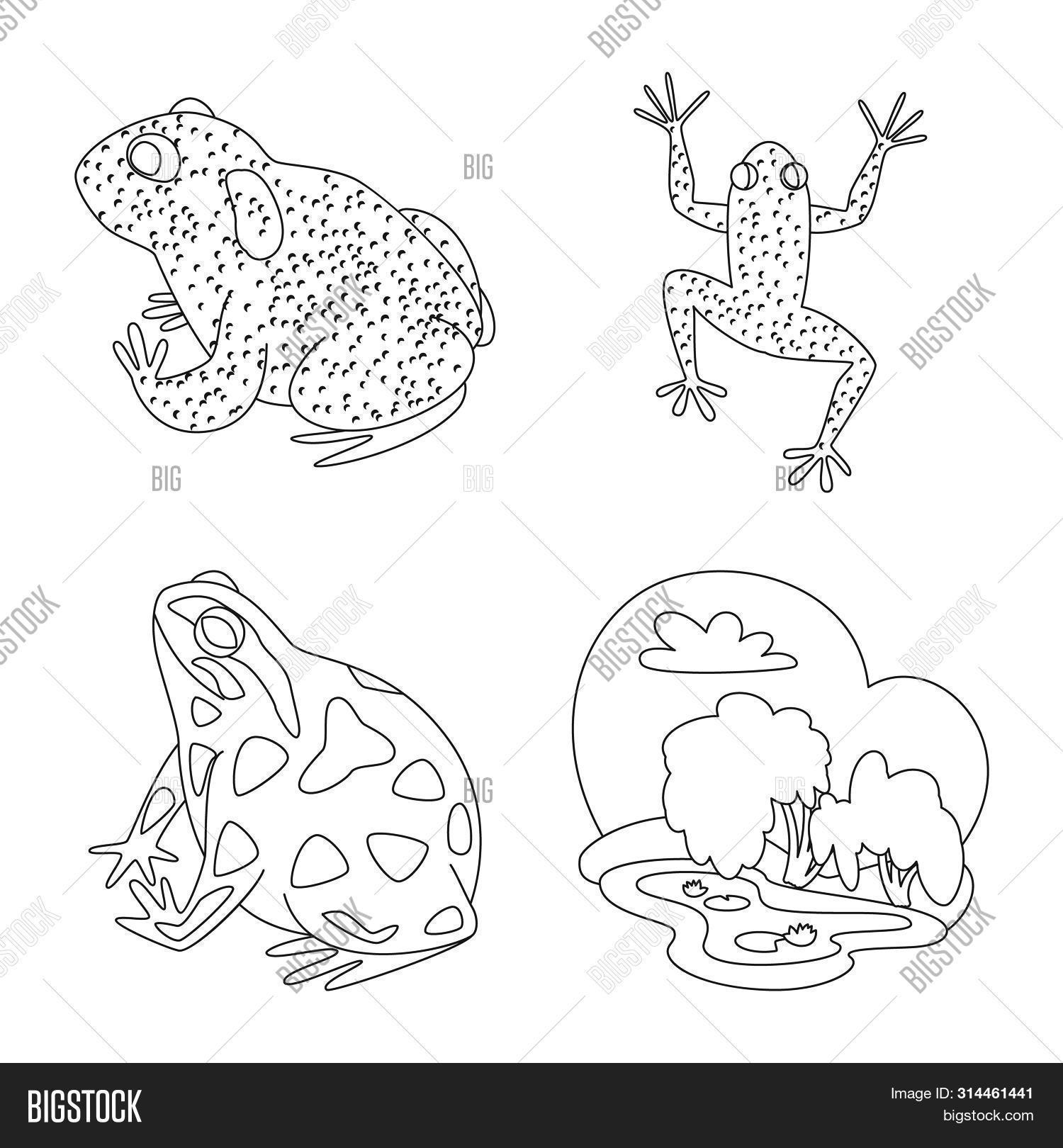 Bitmap Illustration Of Amphibian And Animal Logo. Set Of Amphibian And ...