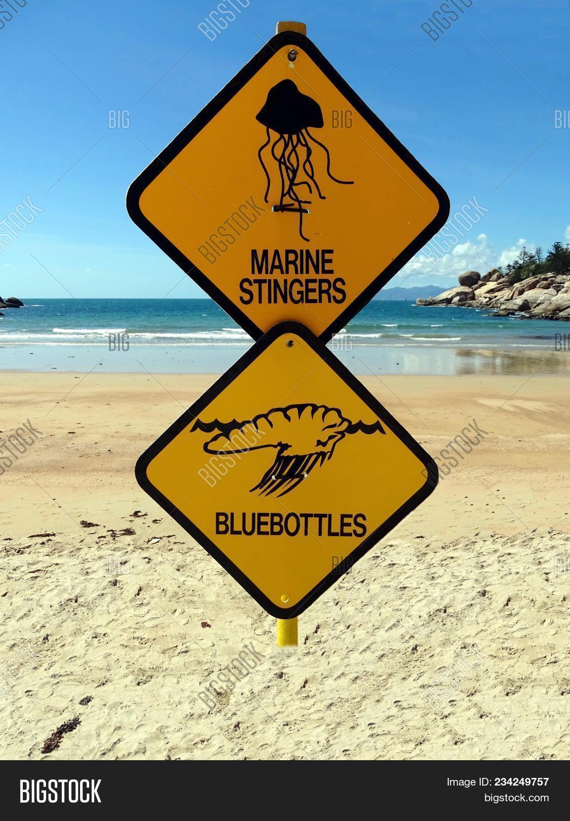 Two Warning Signs On A Beach In Magnetic Island, Tropical Queensland ...